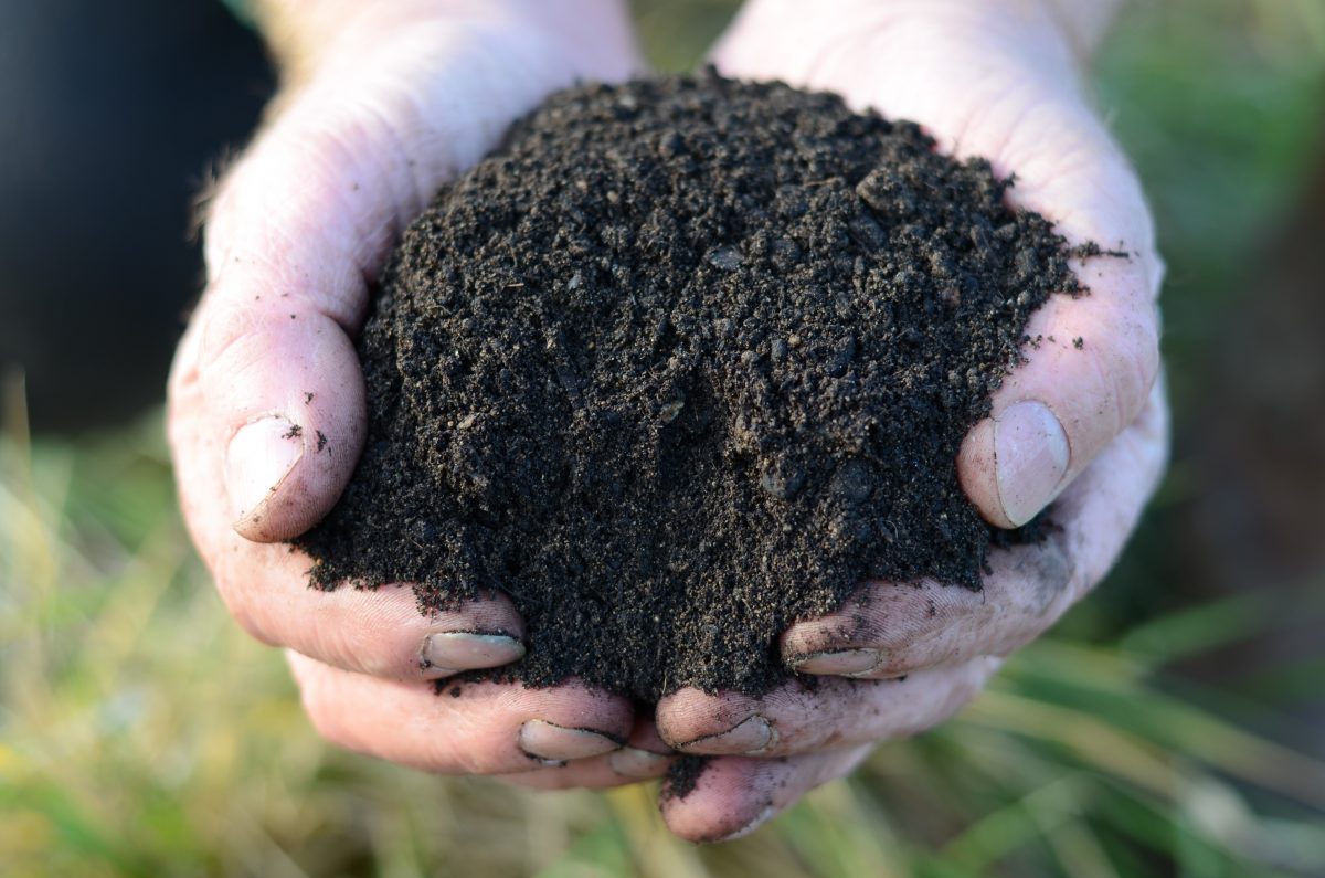 Common topsoil myths uncovered | Field Compost