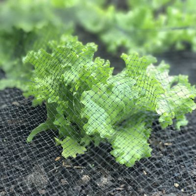 Topsoil & Compost Delivery in Cambridgeshire and Suffolk