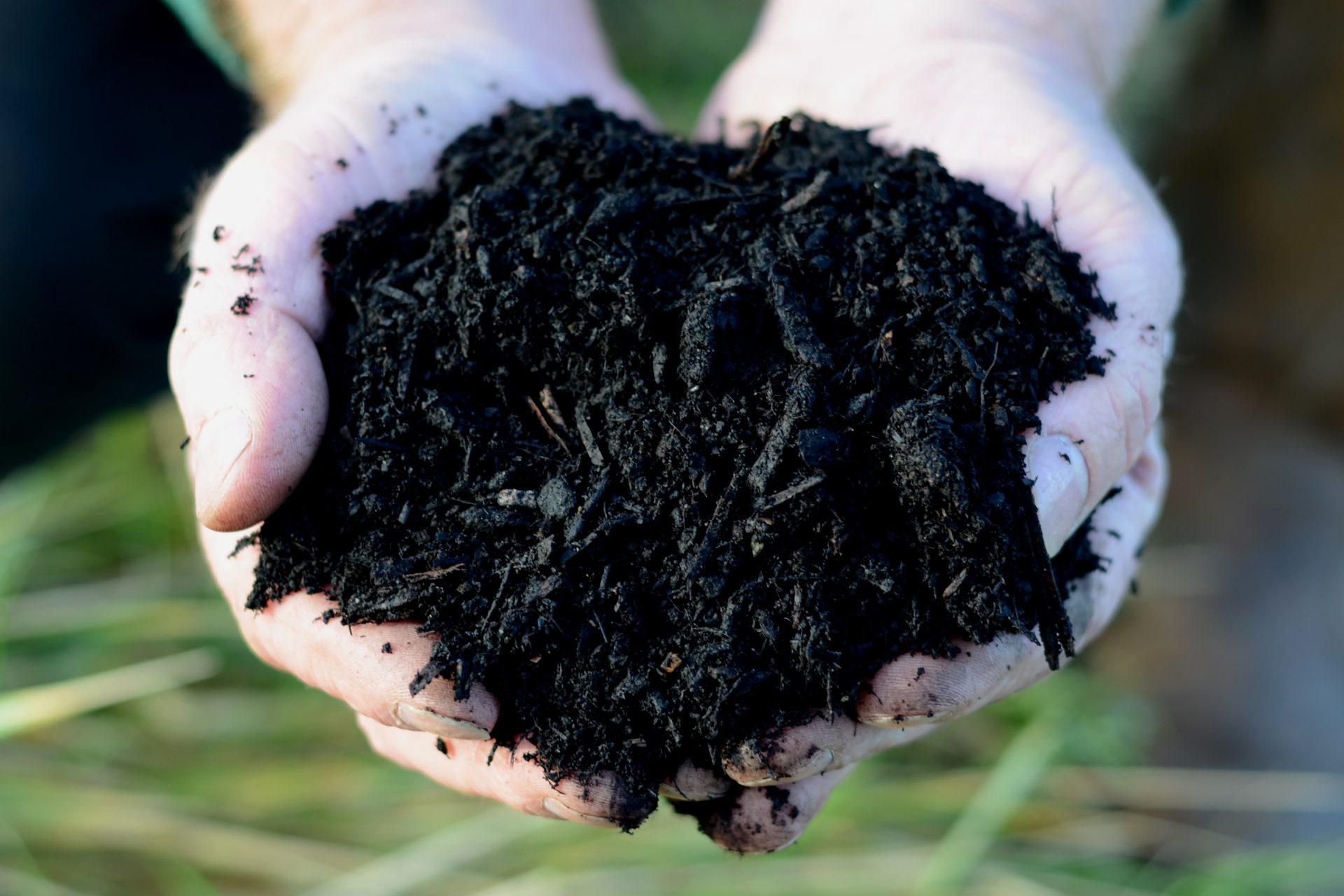 How to best care for your soil: Add Mulch | Field Compost