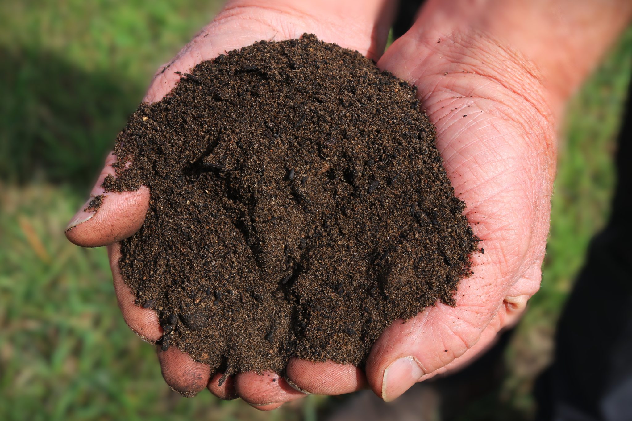 Soil | Field Compost