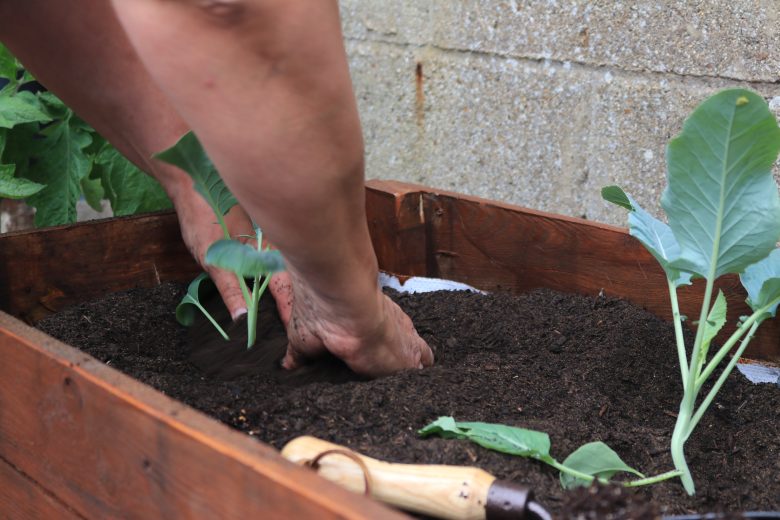 Field No.15 Vegetable Planting Topsoil | Field Compost