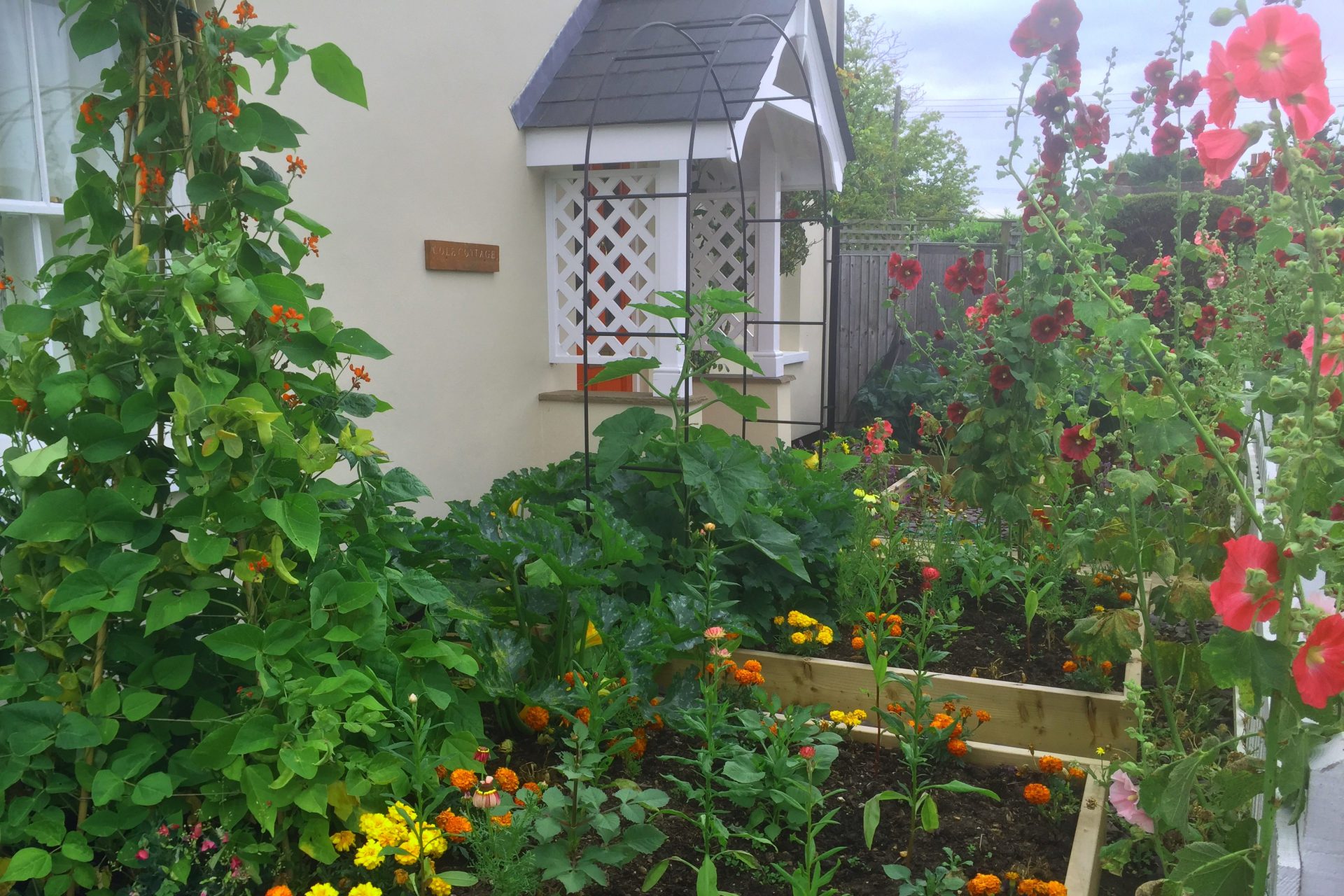 Mister Compost's summer gardening tips 2016 | Field Compost