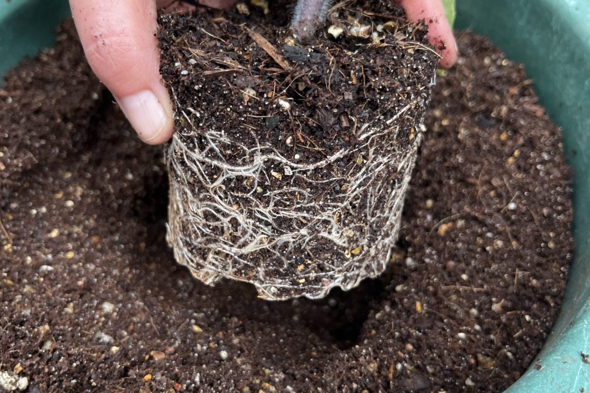 Topsoil & Compost Delivery | Cambridgeshire, Suffolk & nationwide